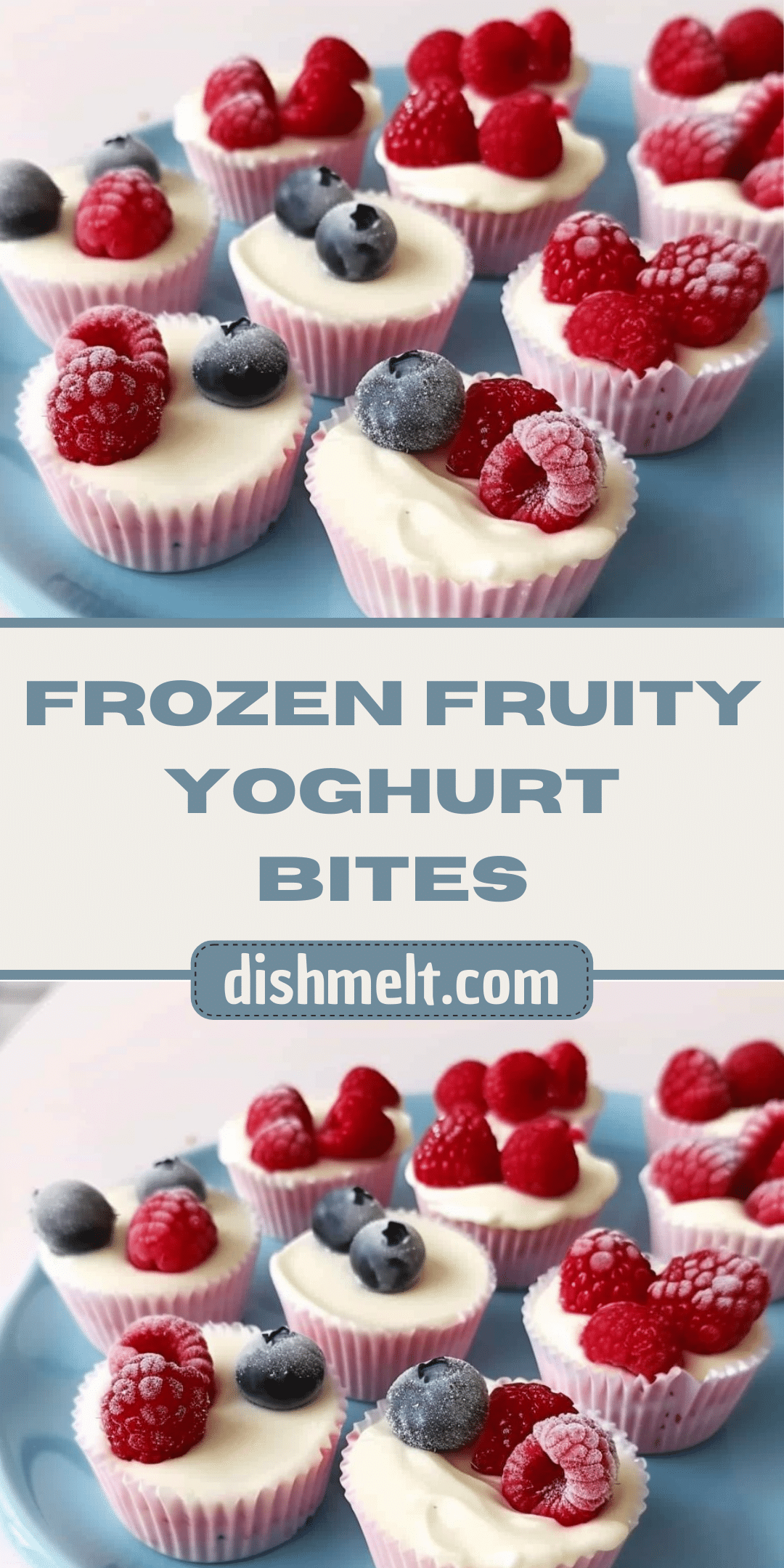 Frozen Fruity Yoghurt Bites | Dish Melt