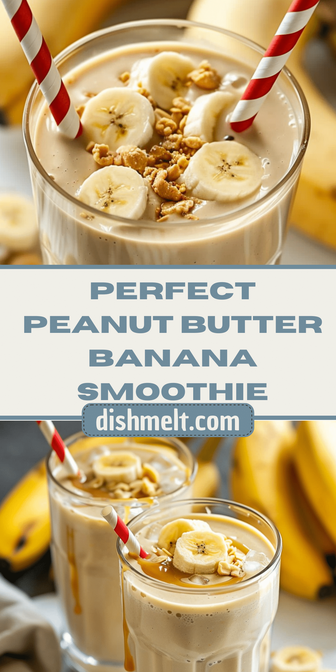 Peanut Butter Banana Smoothie | Dish Melt